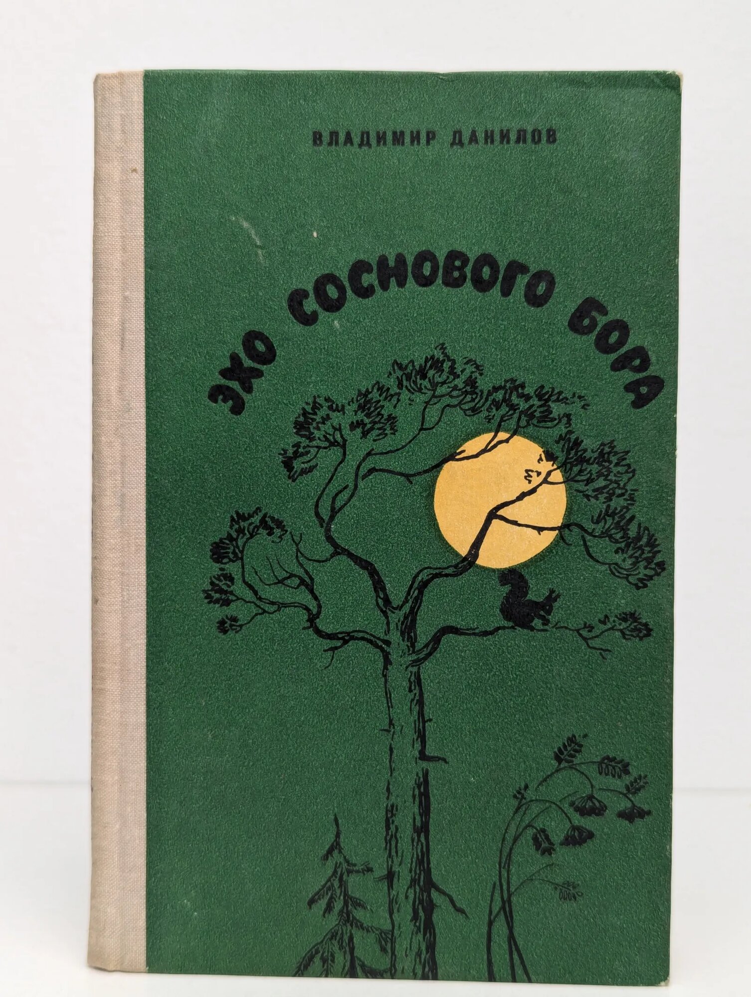 Эхо соснового бора Данилов Владимир Михайлович 1980