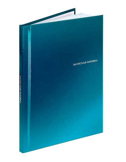 Книжка записная Проф-пресс А6, 48 листов, "Минималистичный дизайн-10", твердая обложка, мелованная бумага, глянцевая ламинация (48-9194)