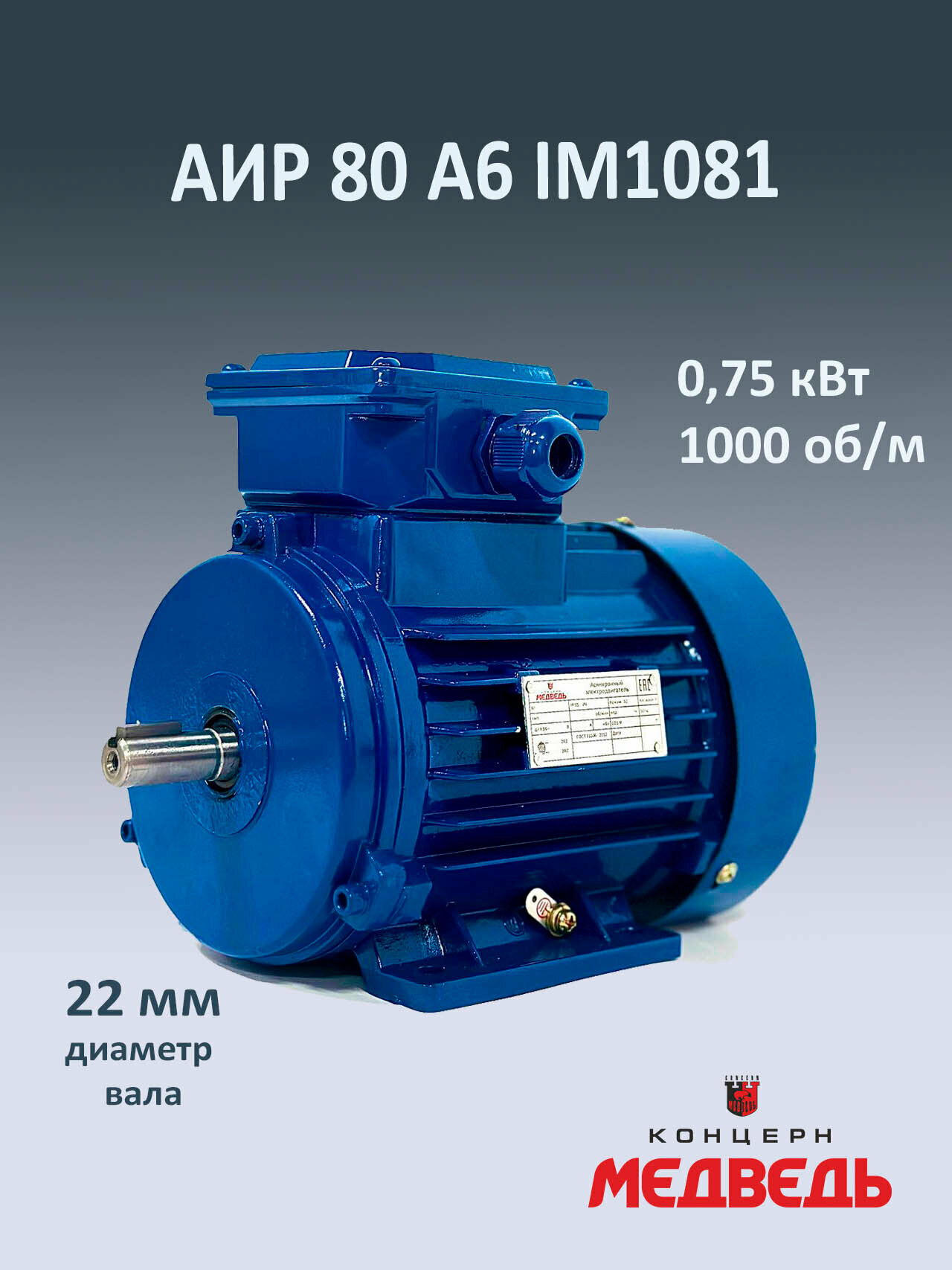 Электродвигатель АИР 80 А6 0,75 кВт 1000 об/мин IM 1081