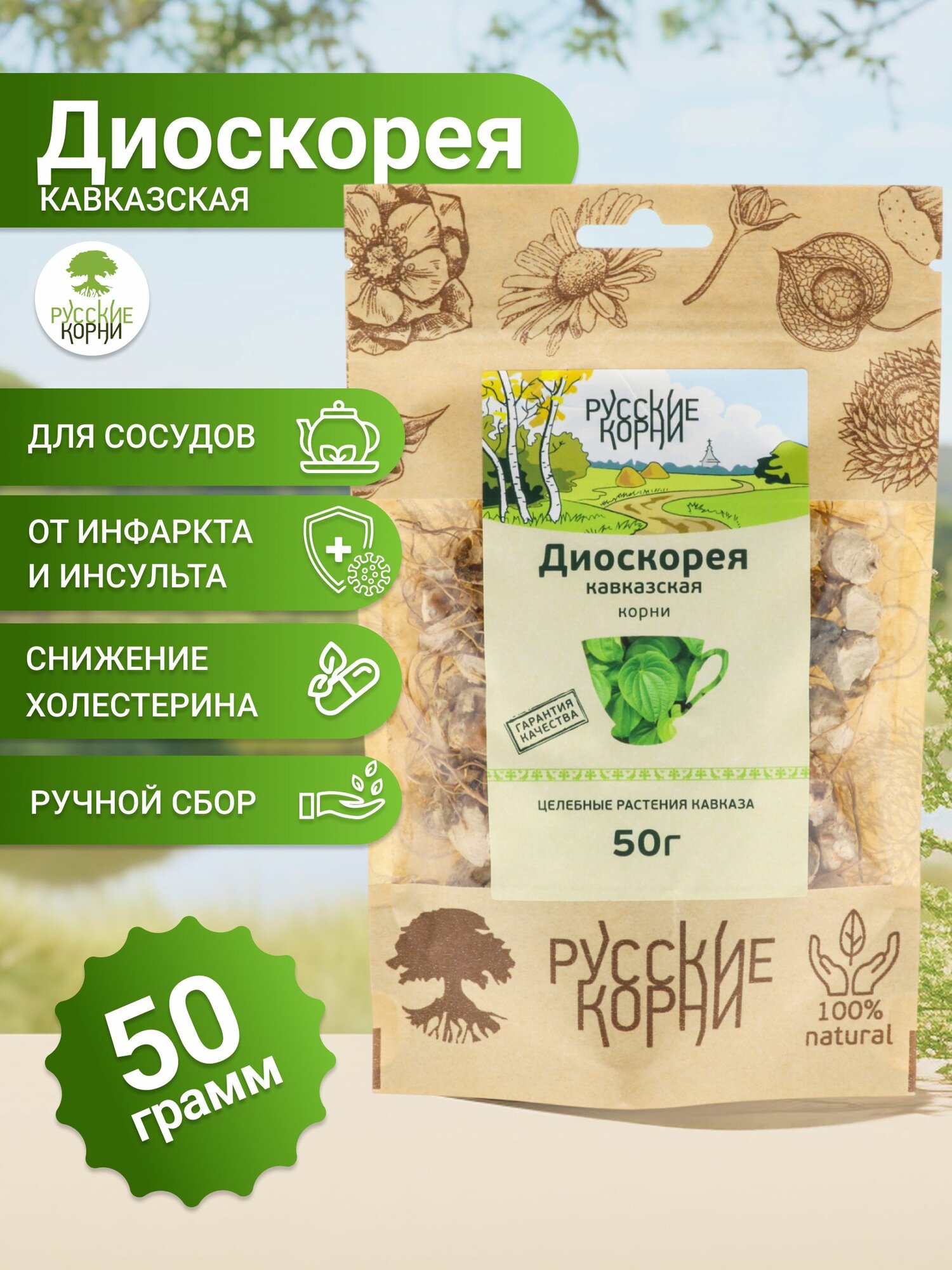 Диоскорея кавказская корень 50 гр - при атеросклерозе, снижение холестерина, для сосудов, кровообращения, профилактика инфаркта и инсульта - Русские корни