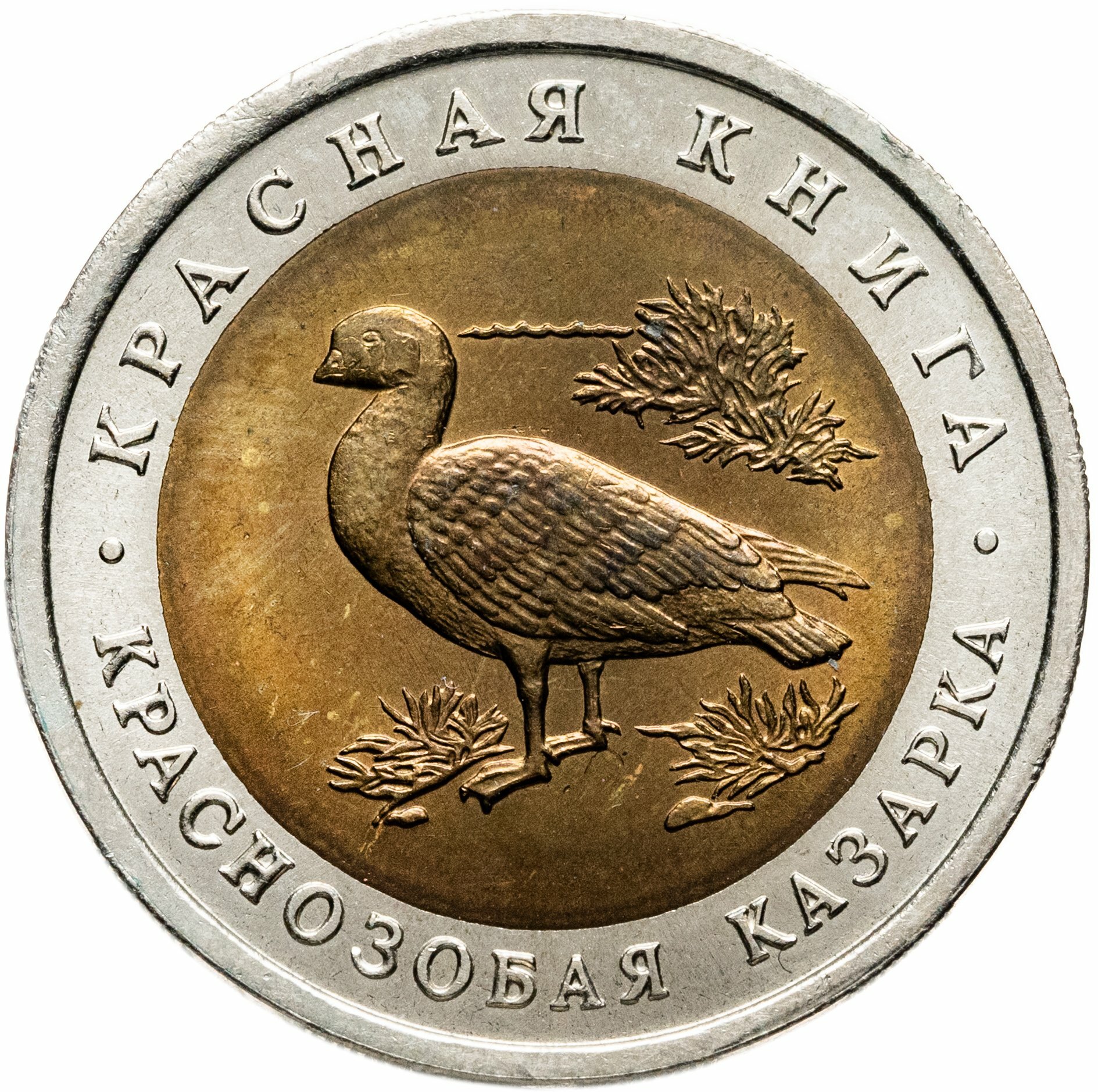 10 рублей 1992 ЛМД краснозобая казарка
