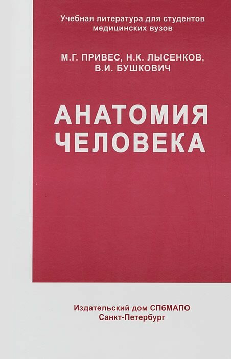Анатомия человека. Привес