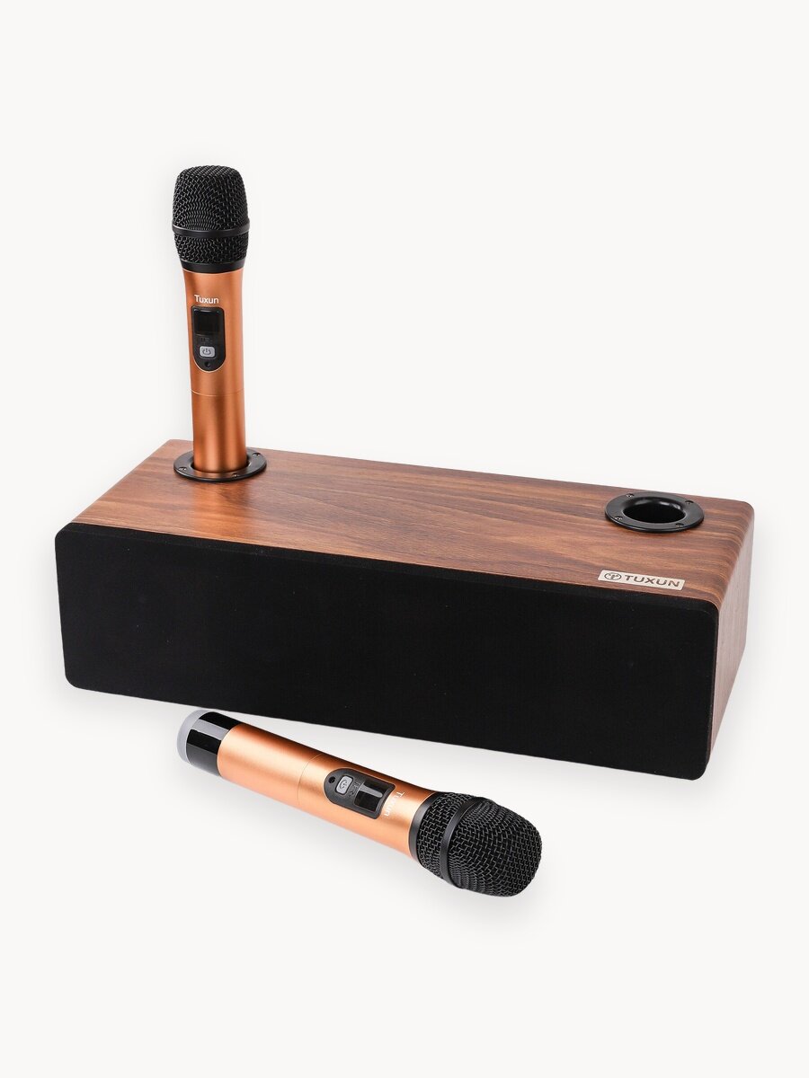 Караоке система для дома Tuxun Artifact 3.1 PRO 130 Вт с двумя микрофонами и пультом коричневая