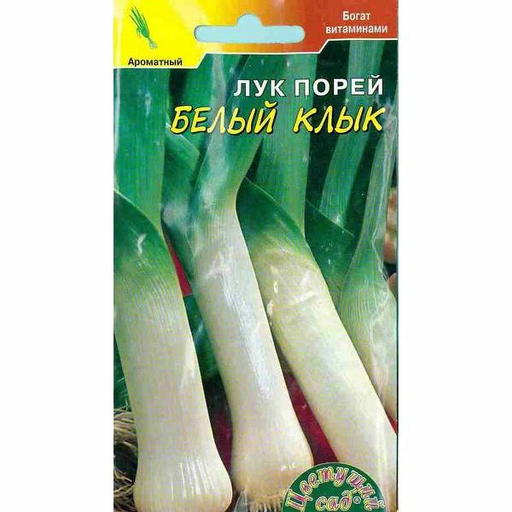 Семена Лук порей Белый клык, Цветущий Сад, 1 пачка - 0.5г семян