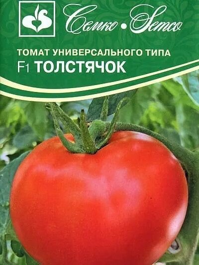 Семена Томат Толстячок F1 10 шт 2упаковки