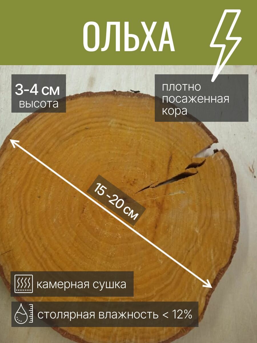 Спил дерева, Ольха с трещиной d15-20 см , срезы, для декора и творчества, деревянные заготовки