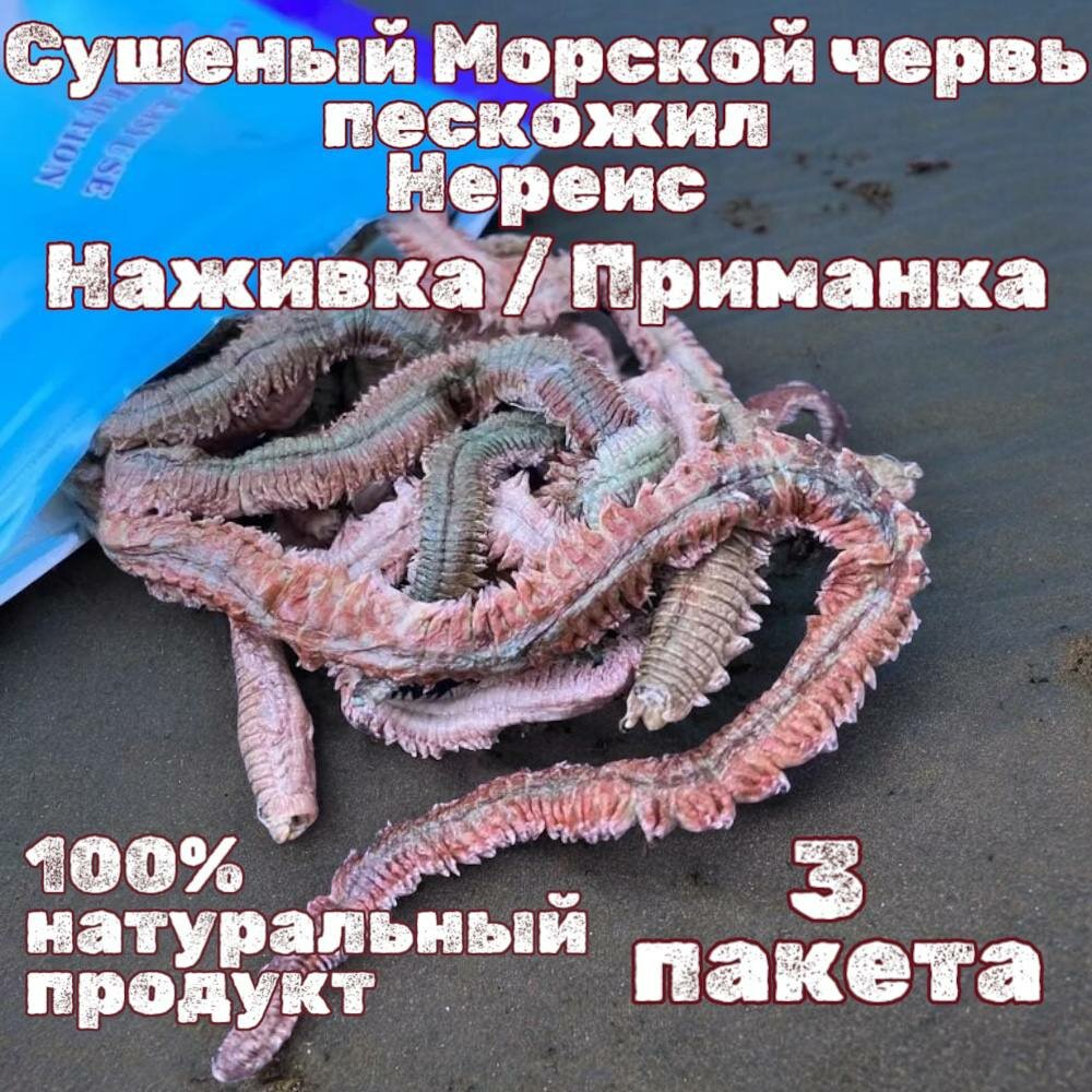 Мягкая приманка наживка из сушеного червя пескожила(нереис)/ Морской червь 3 пакета