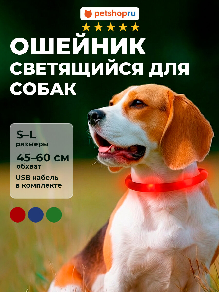 Светящийся ошейник для собак силиконовый "Найт", S