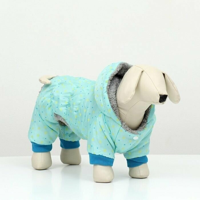 Комбинезон для собак Пижон "Нежный путь" на меховом подкладе, размер XXL - ДС 45, ОШ 45, ОГ 55 см, голубой