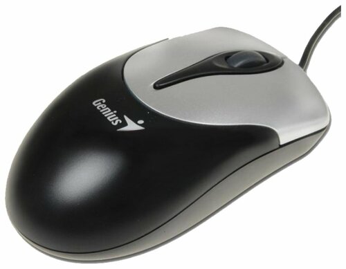 Мышь Genius Netscroll 100 Usb - bermoadmin