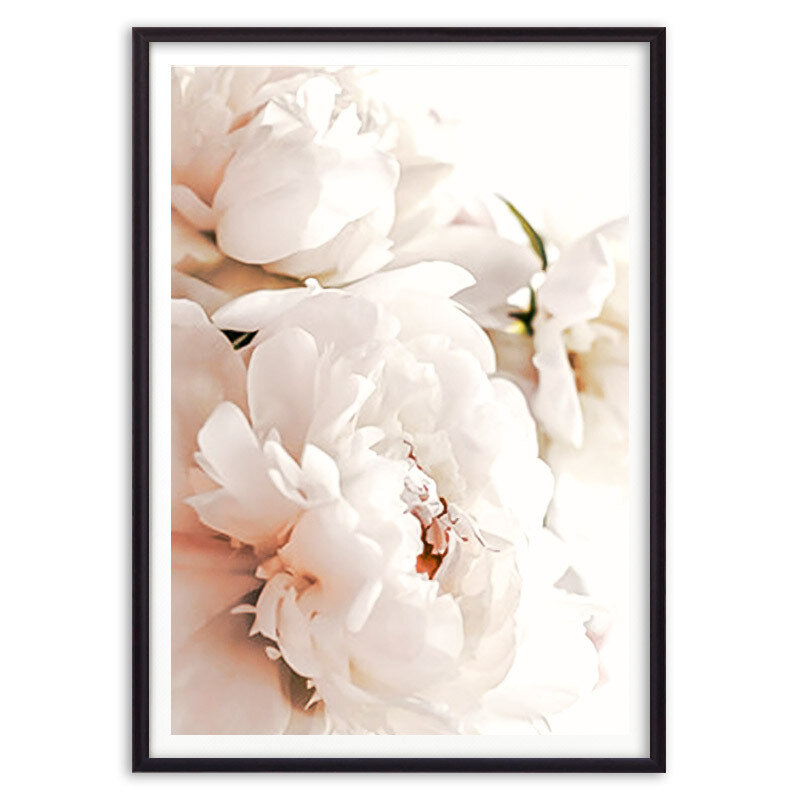 Постер в рамке Белые пионы 1, 21х30 см