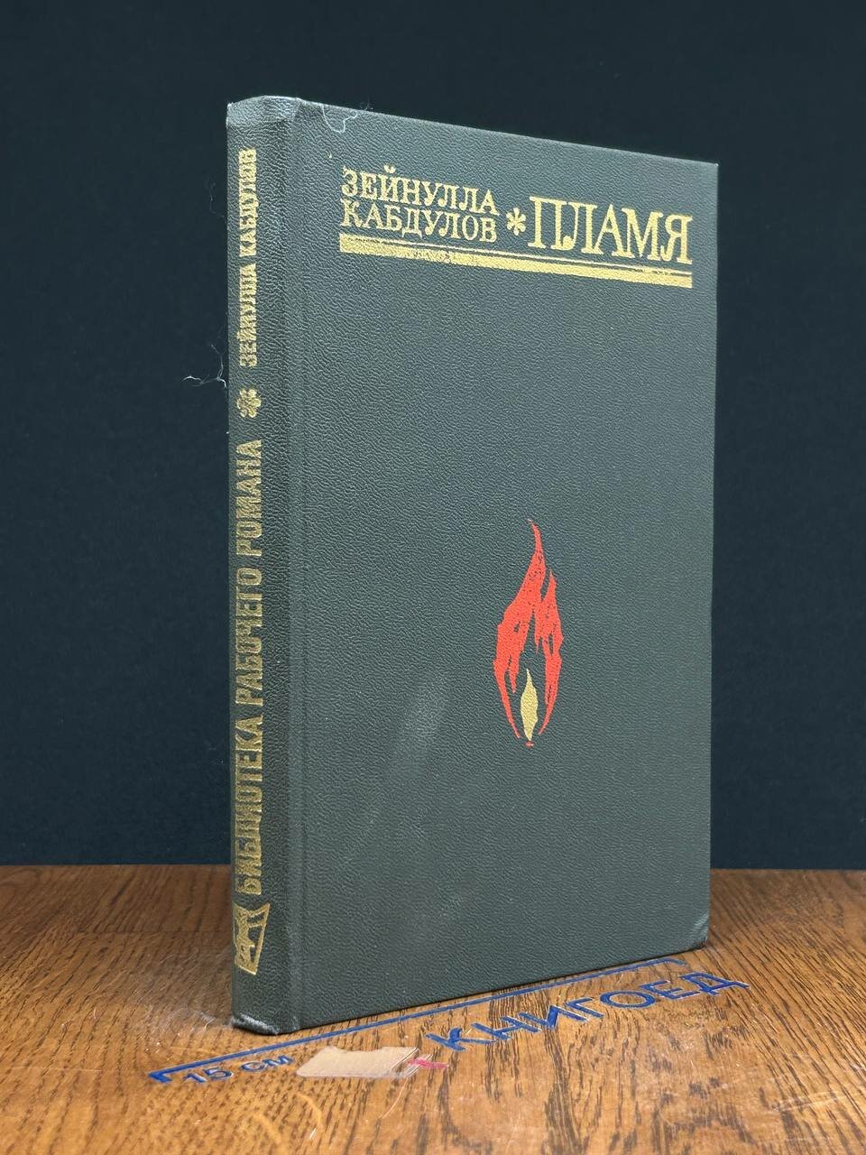 Книга. Пламя 1976 (2044212891375)