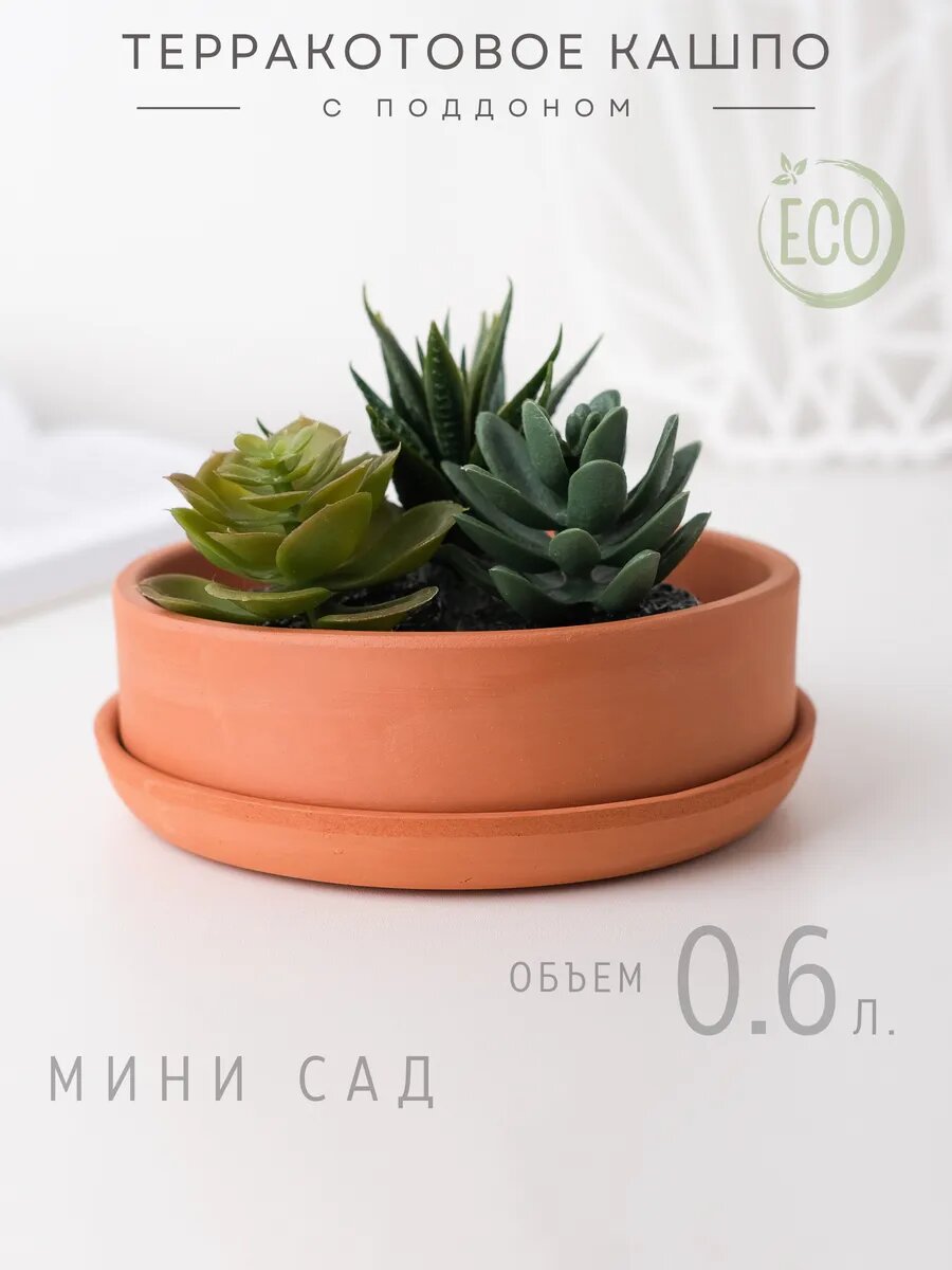 Горшок терракотовый плоский кашпо для бонсай и мини сада, объем 0,6л, с дренажным отверстием, с поддоном