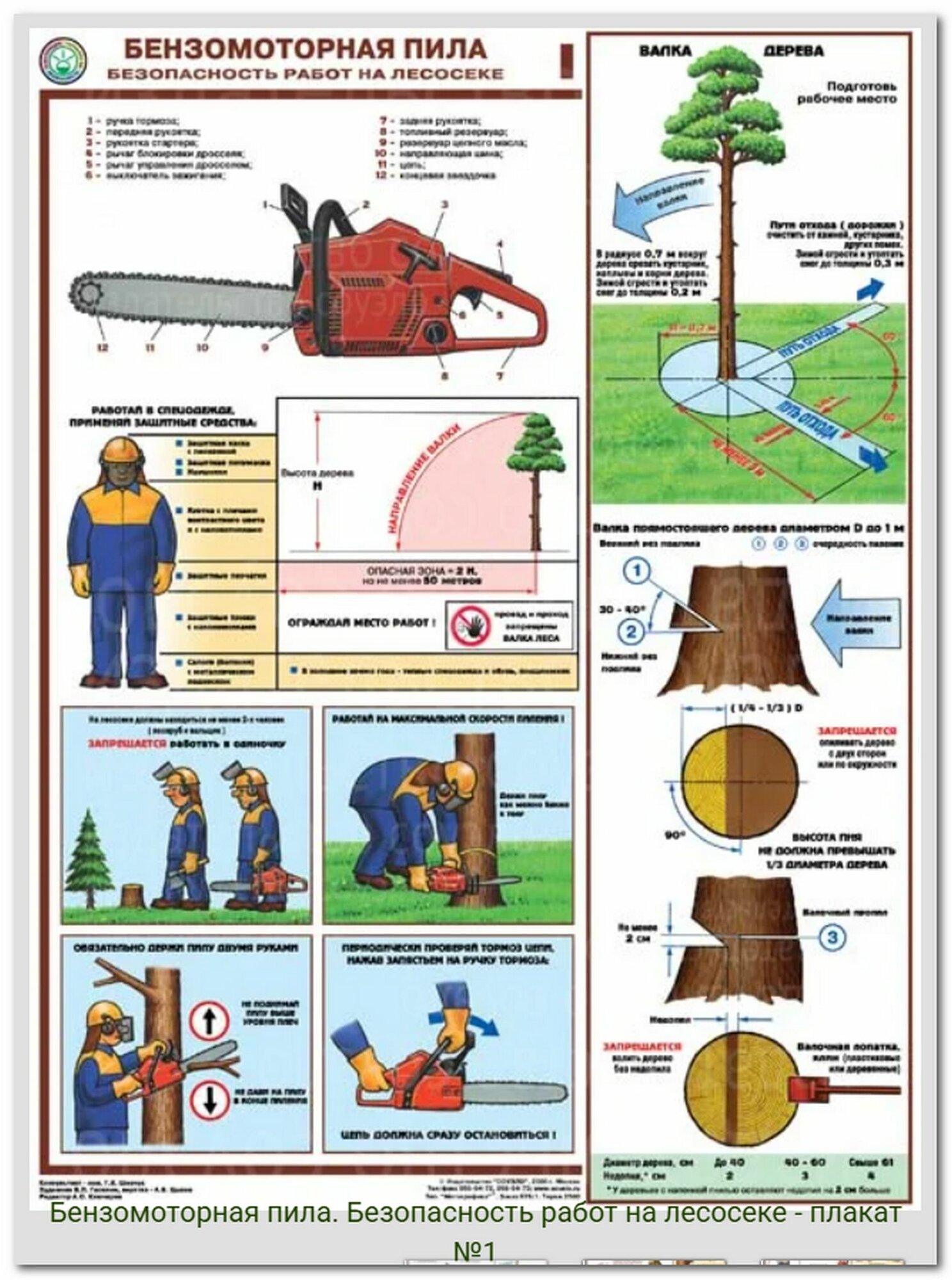 Комплект плакатов "Бензомоторная пила. Безопасность работ на лесосеке", 3 листа 465 600 мм