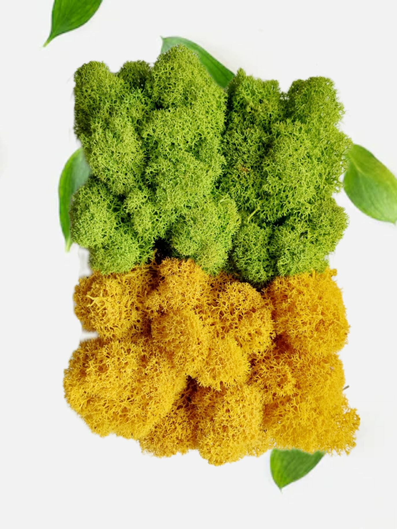 Мох стабилизированный набор - Лимонный-Салатовый, 100 гр