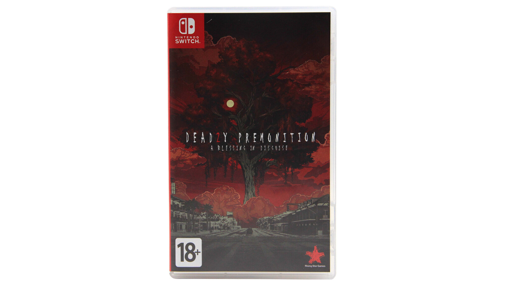 Deadly Premonition 2 A Blessing In Disguise (Nintendo Switch)