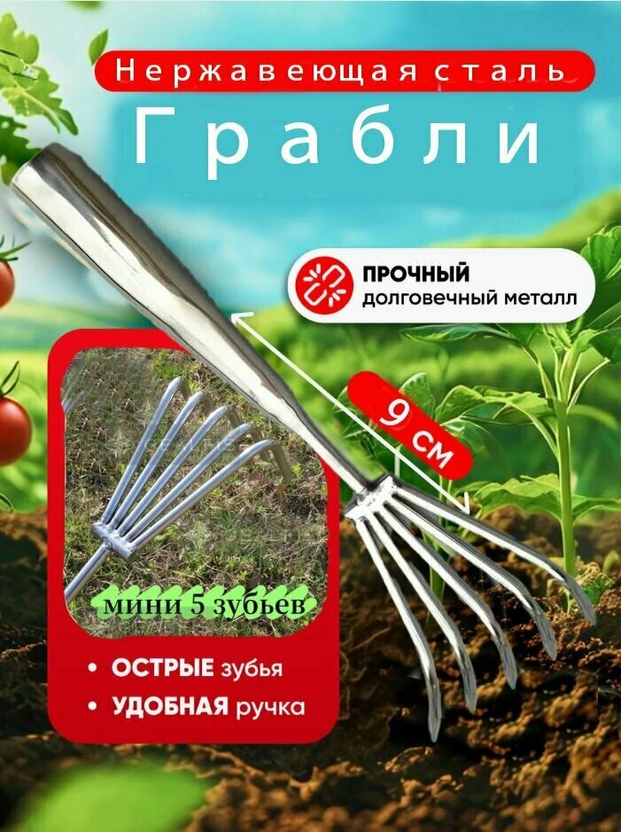 Садовые грабли Мини веерные из нержавеющей стали с 5 зубцами и встроенной сварной ручкой, 9 см.