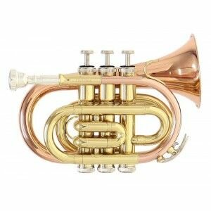 ROY BENSON PT-101G - Bb Труба (золото)