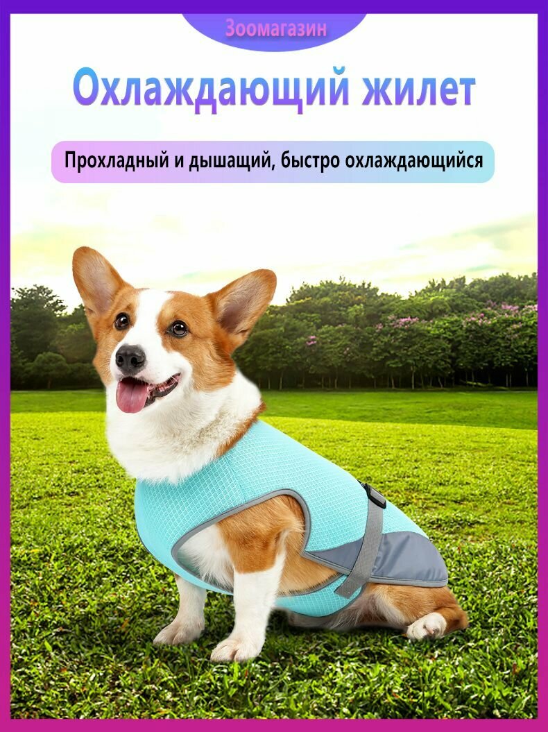 Охлаждающий жилет для собак Легкий, дышащий, мгновенное охлаждение в жару, Унисекс, S, голубой,35-42,42-52