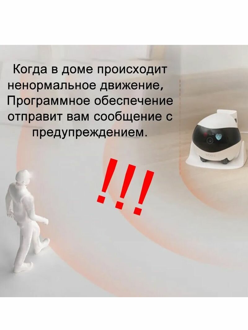 Видеоняня для животных — фото 1