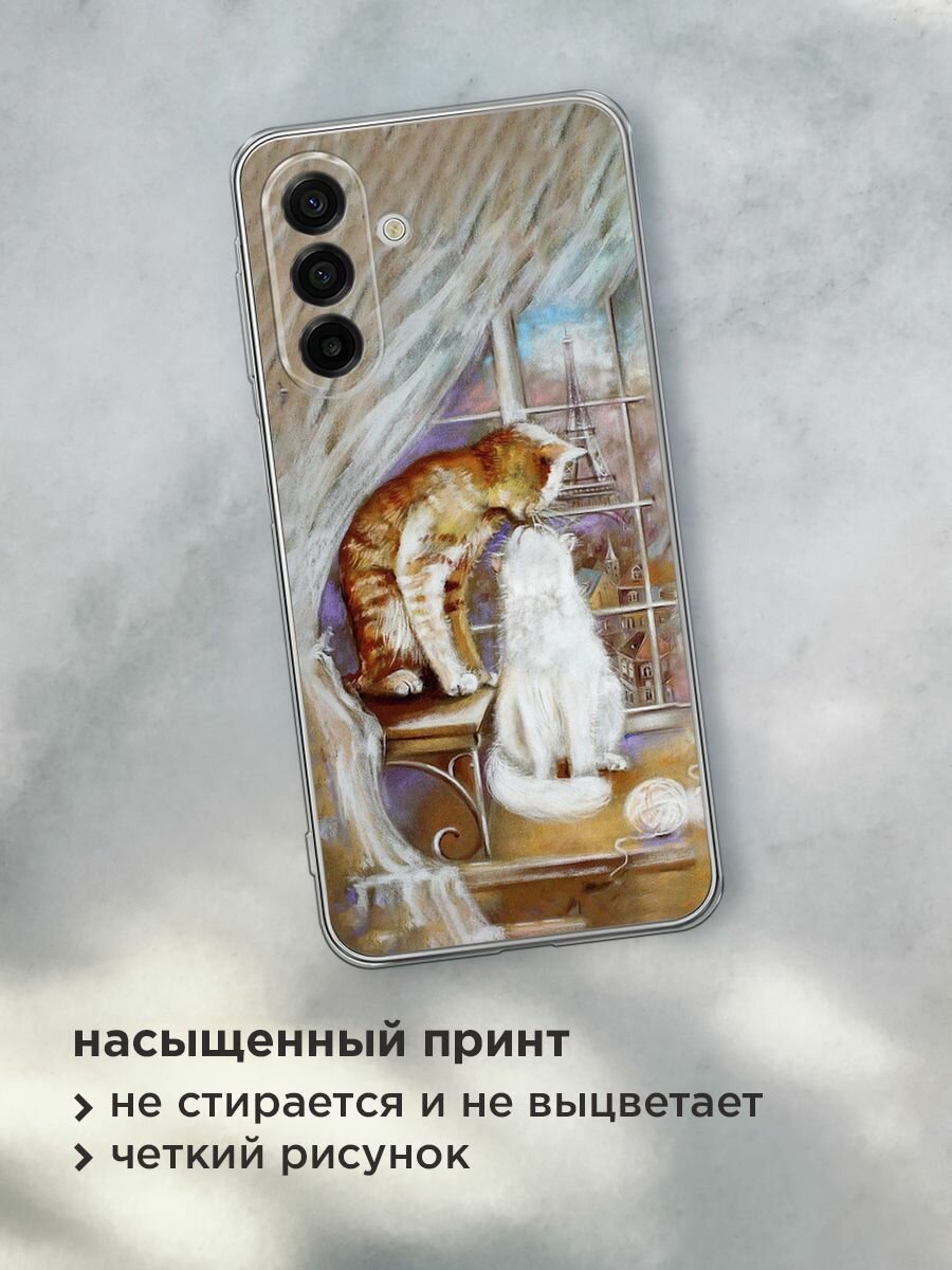 Чехол на Samsung Galaxy A17 / Самсунг А17 с принтом "Влюбленные котики 1" — фото 1