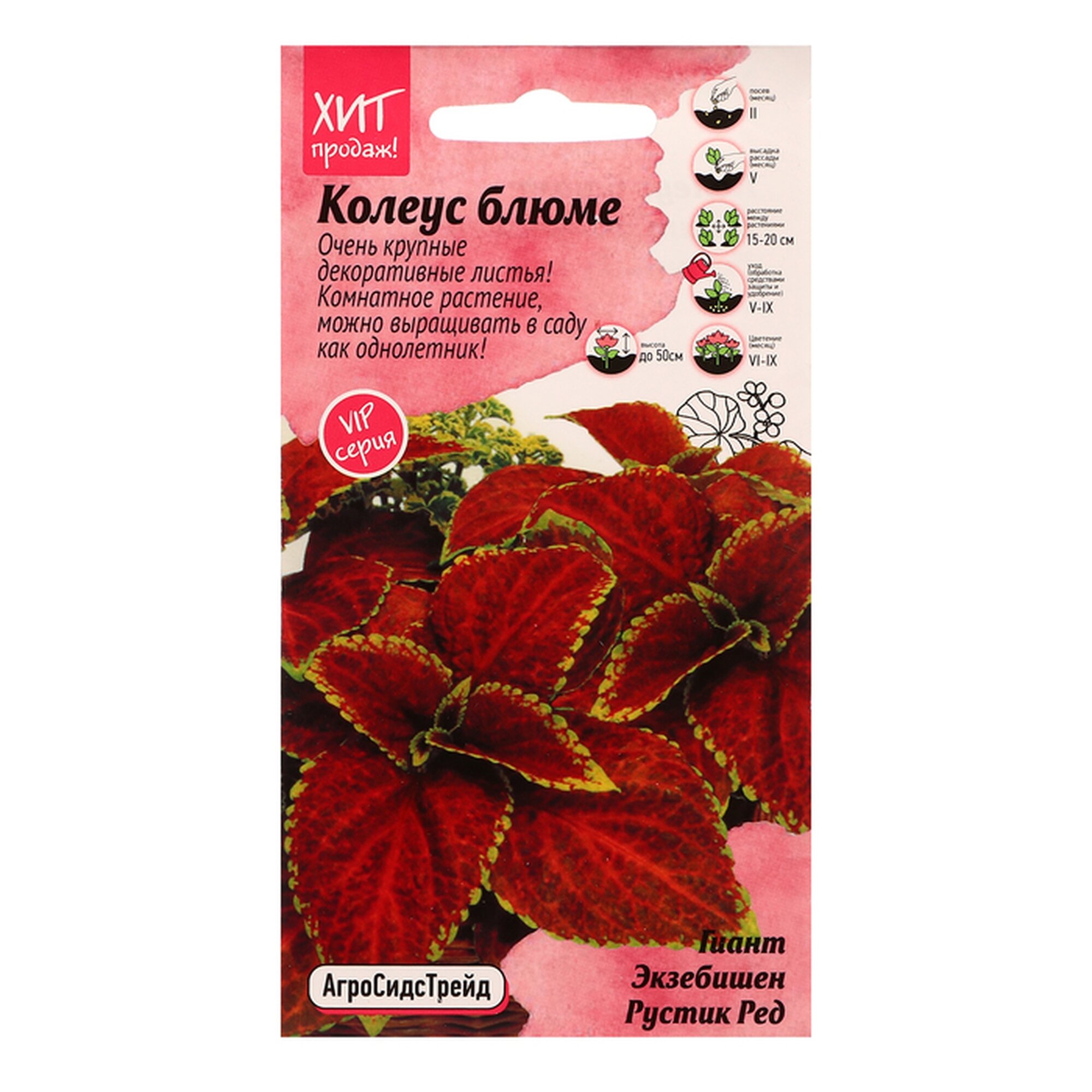 Семена цветов Колеус блюме "Гиант Экзебишен Рустик Ред", 10 шт 10264864