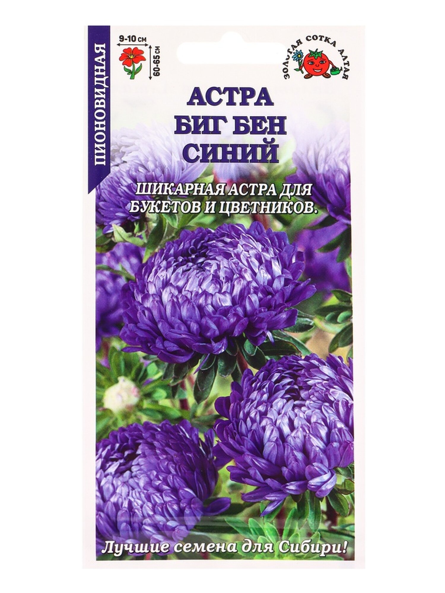 Семена Астра Биг Бен синий /Сотка/ 0,2г/ пион. 65см, d-10см/*1500 10942294