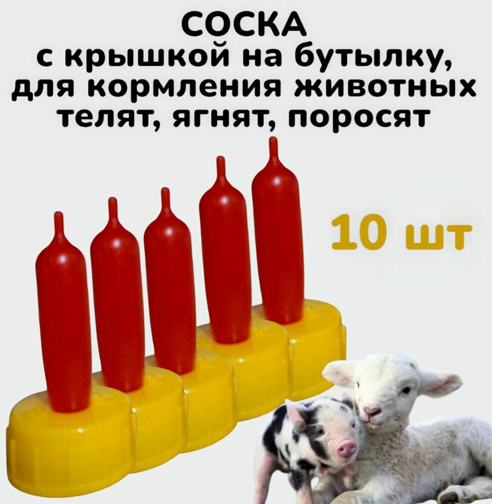 Соска под бутылку 10 шт Для мелких животных, 6 см