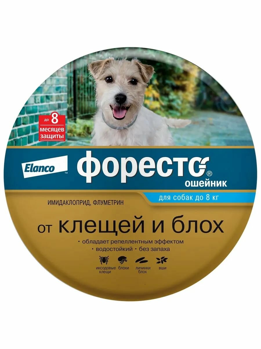 Ошейник форесто (до 8кг) инсектоакарицидный, от клещей и блох, для собак 38см