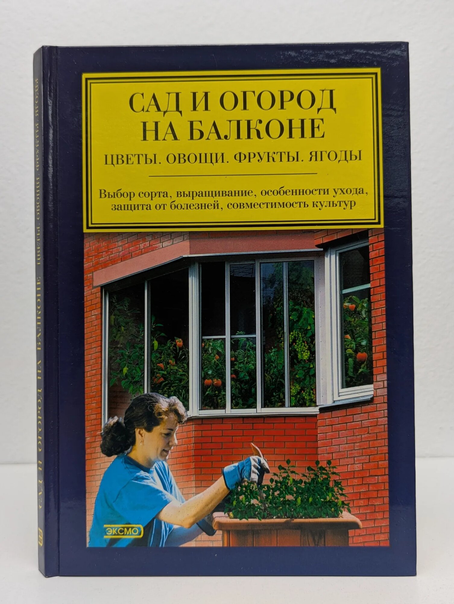 Сад и огород на балконе Барышникова Татьяна Константиновна 2004