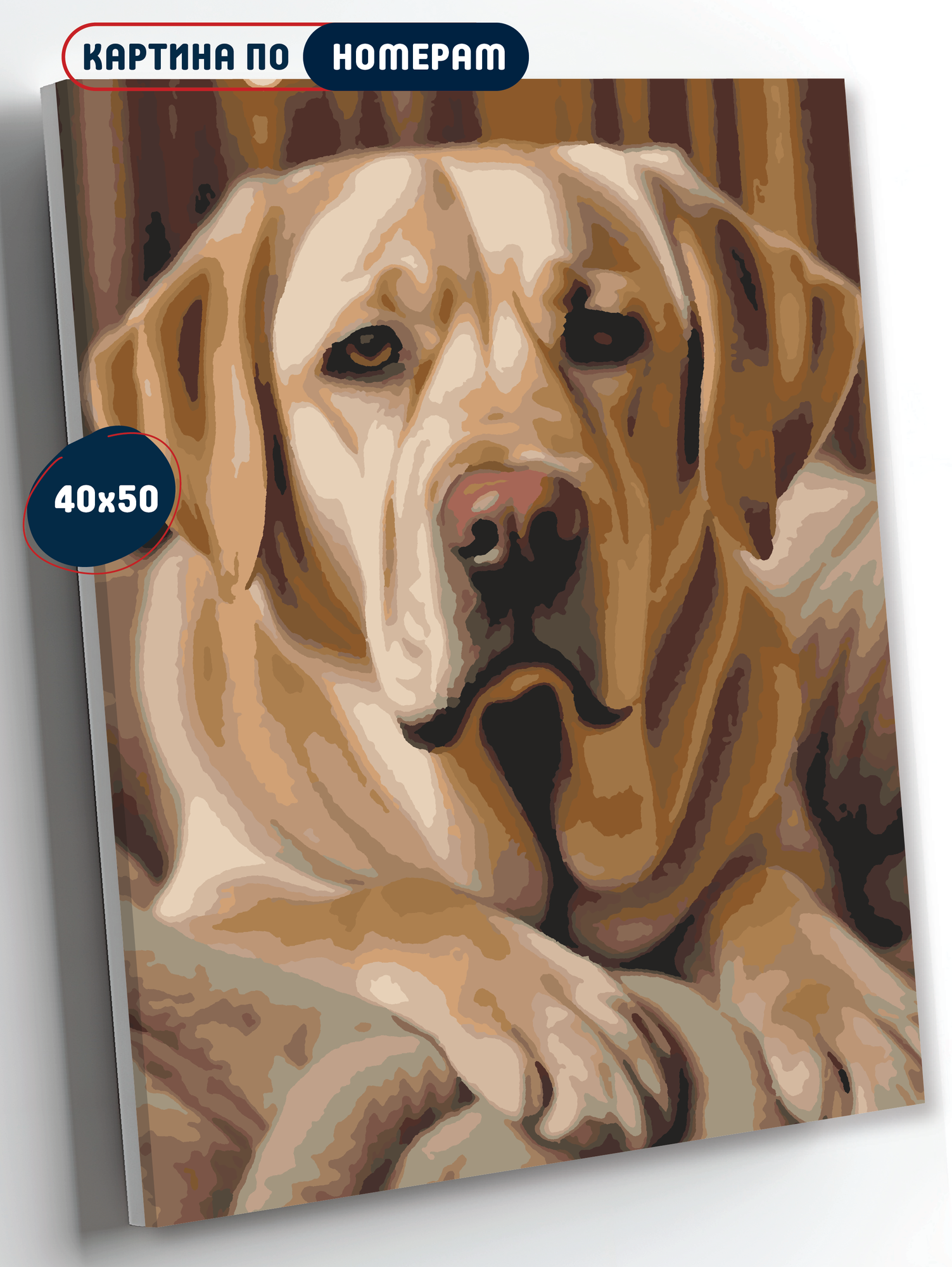 Картина по номерам "Лабрадор", Холст на подрамнике 40х50, набор для рисования, с животными