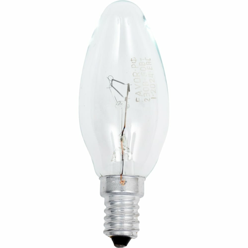 Лампа накаливания FAVOR ДС 230-40 Е27 8109011