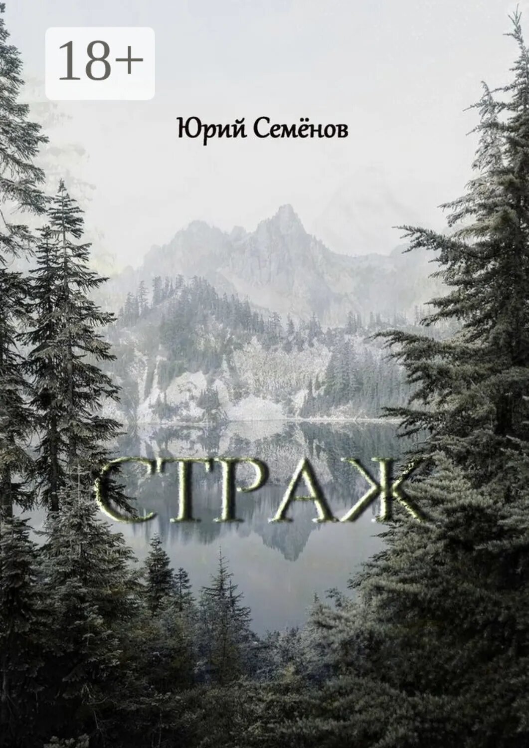 Страж [Цифровая книга]