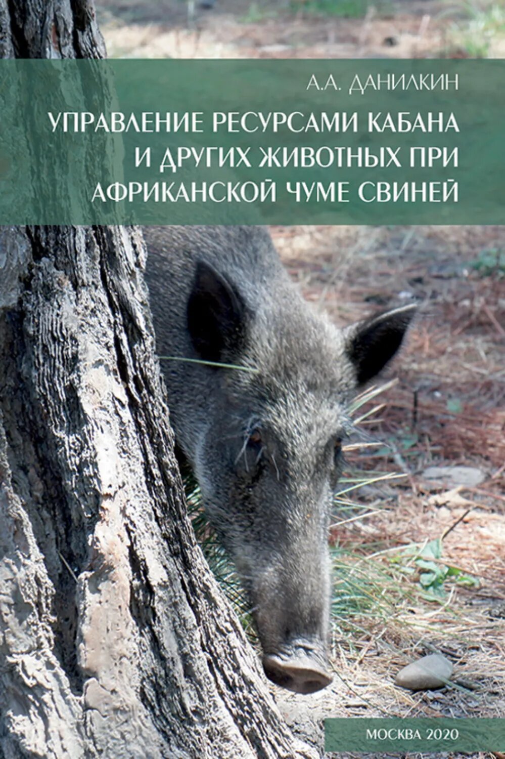 Управление ресурсами кабана и других животных при африканской чуме свиней [Цифровая книга]