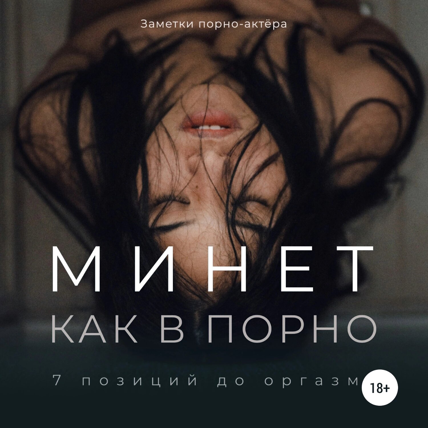 Минет как в порно. 7 позиции до оргазма [Аудиокнига]