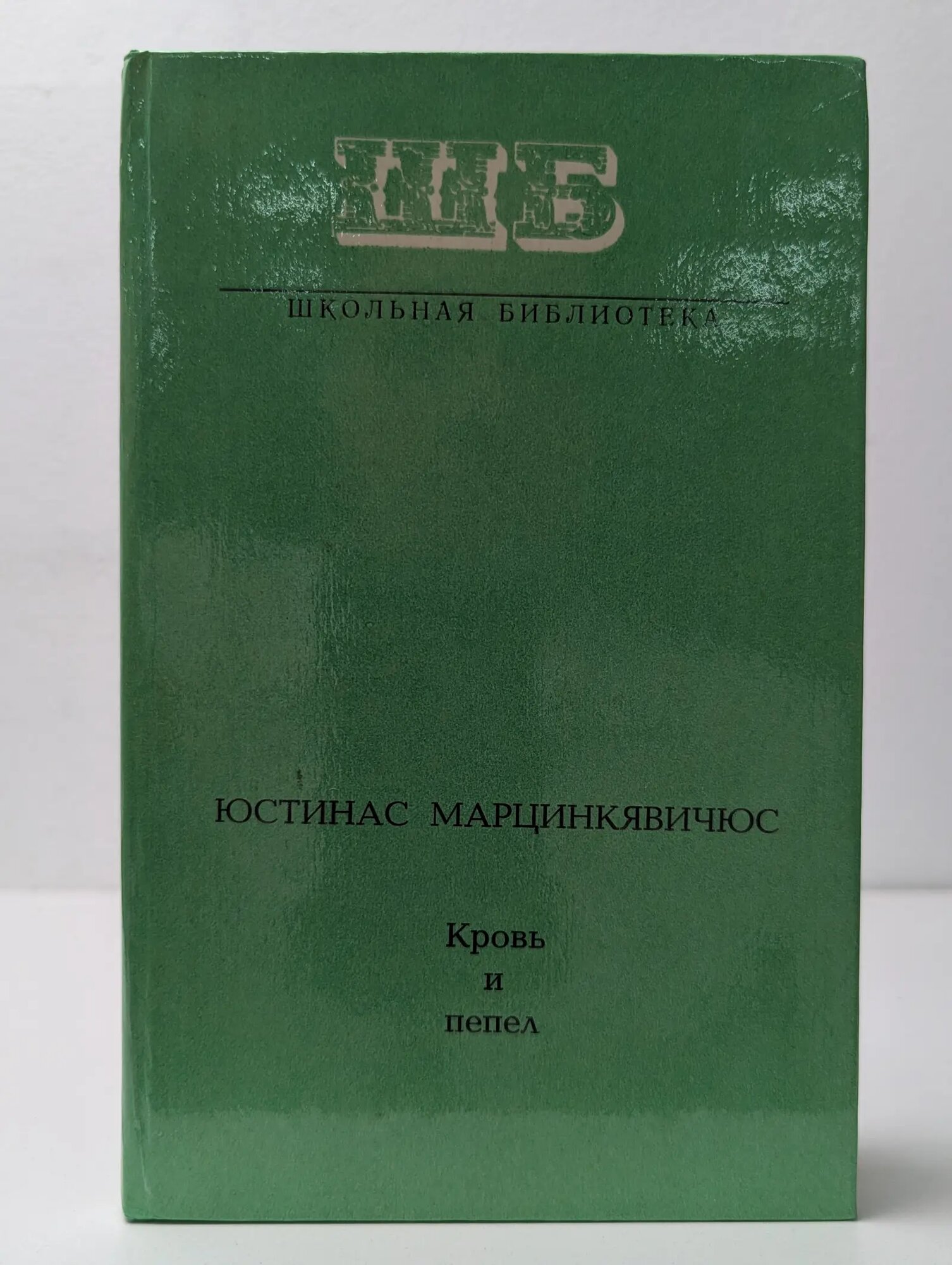 Кровь и пепел Марцинкявичюс Юстинас Мотеевич 1979