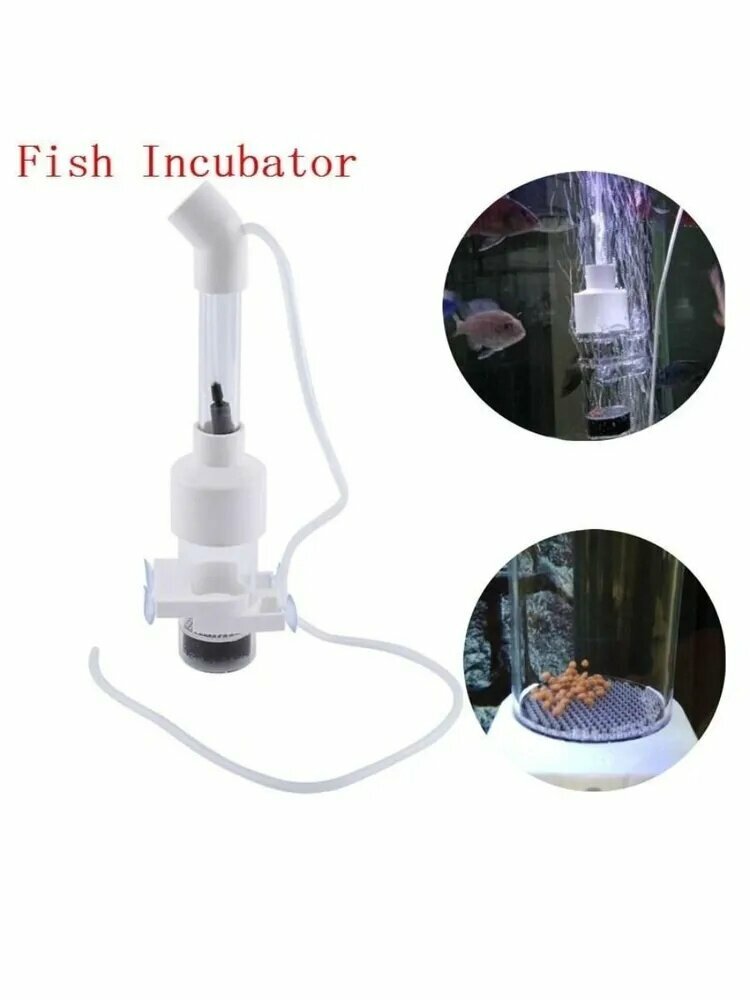 Аквариум мальков инкубатор