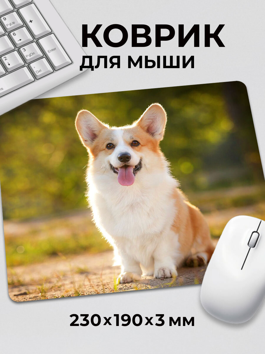 Коврик для мышки игровой маленький на стол Собака Корги c тканевой поверхностью, на нескользящем резиновом основании