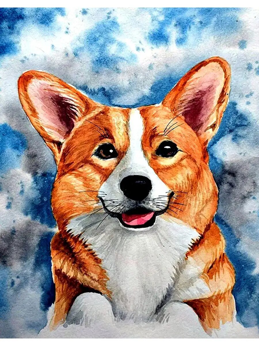 Картина по номерам Портрет корги 40х50 см