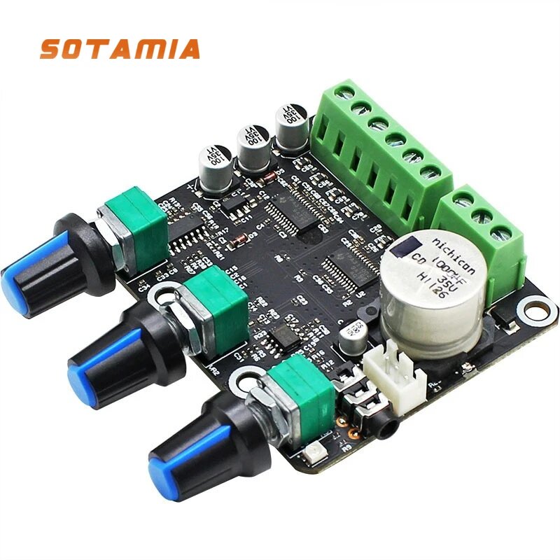 SOTAMIA TPA3110D2 Цифровой усилитель мощности 2.1