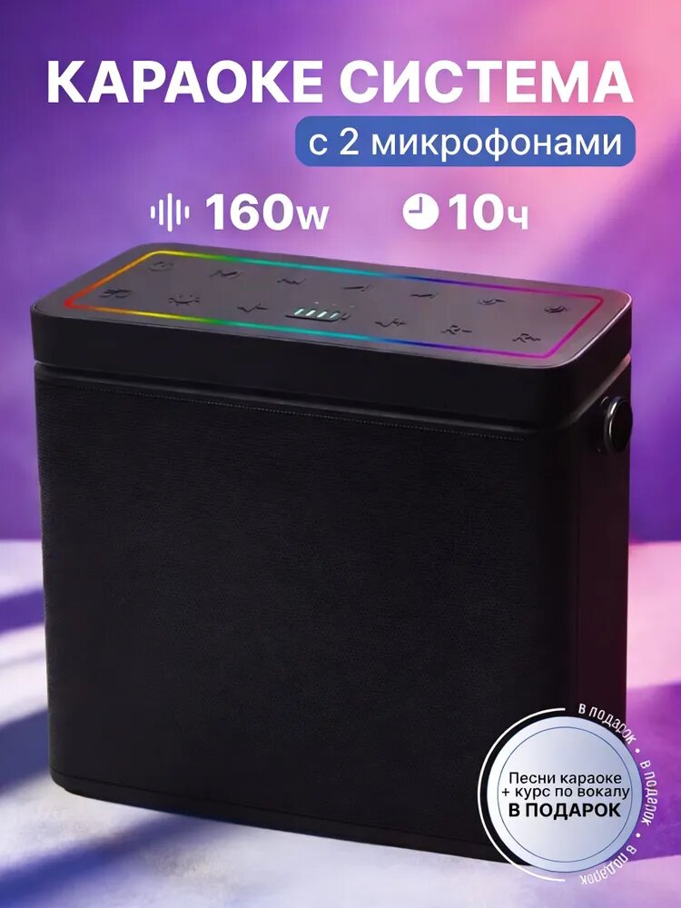 Караоке система с двумя микрофонами 160W