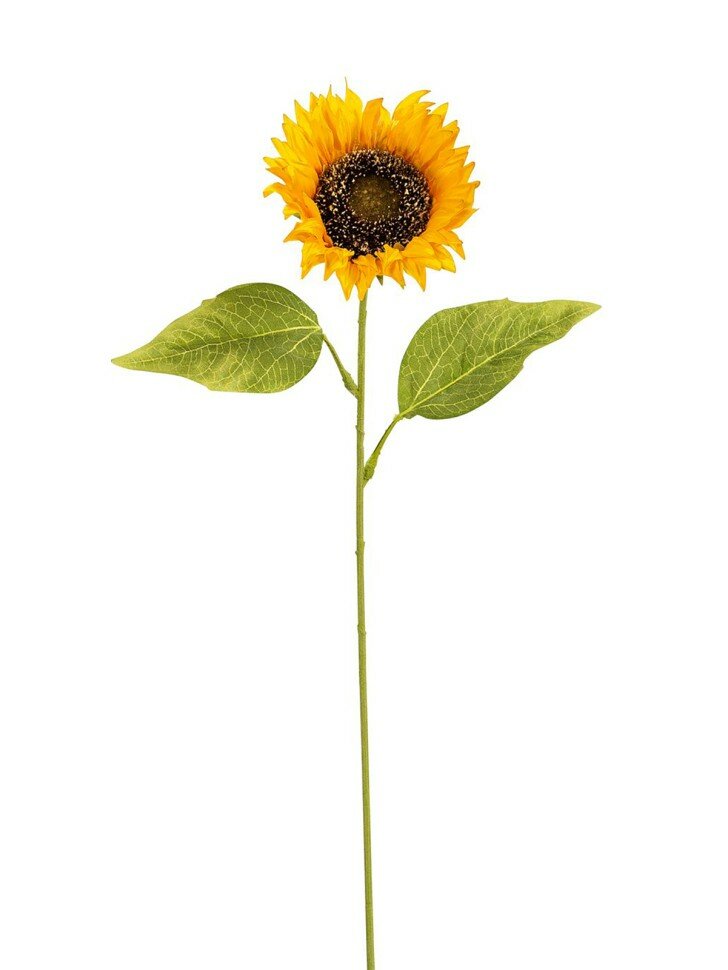 Fiebiger Floristik 207525-200 Цветок декоративный "Подсолнечник", 67 см