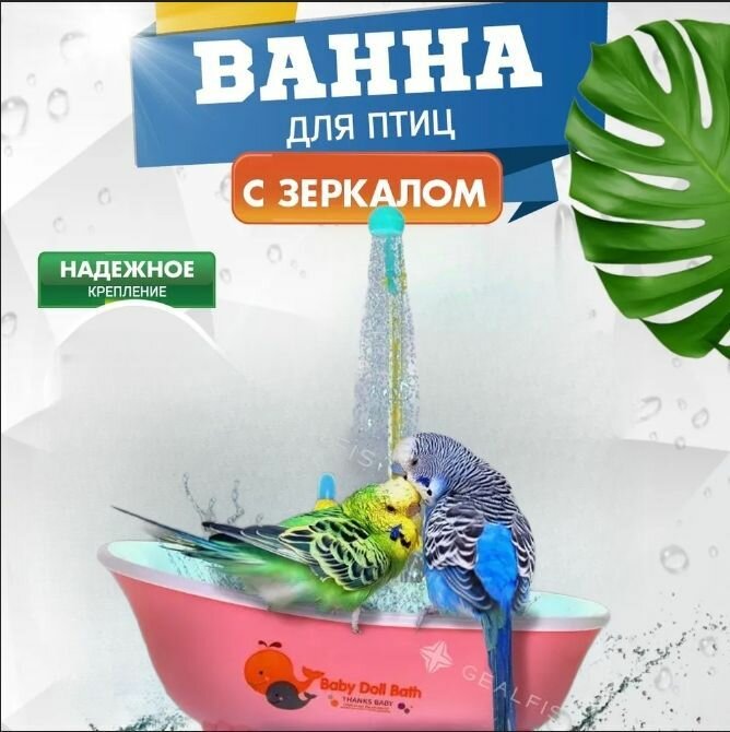 Купалка для попугаев, Big Jungle, ванна для птиц, ванночка для попугаев с зеркалом