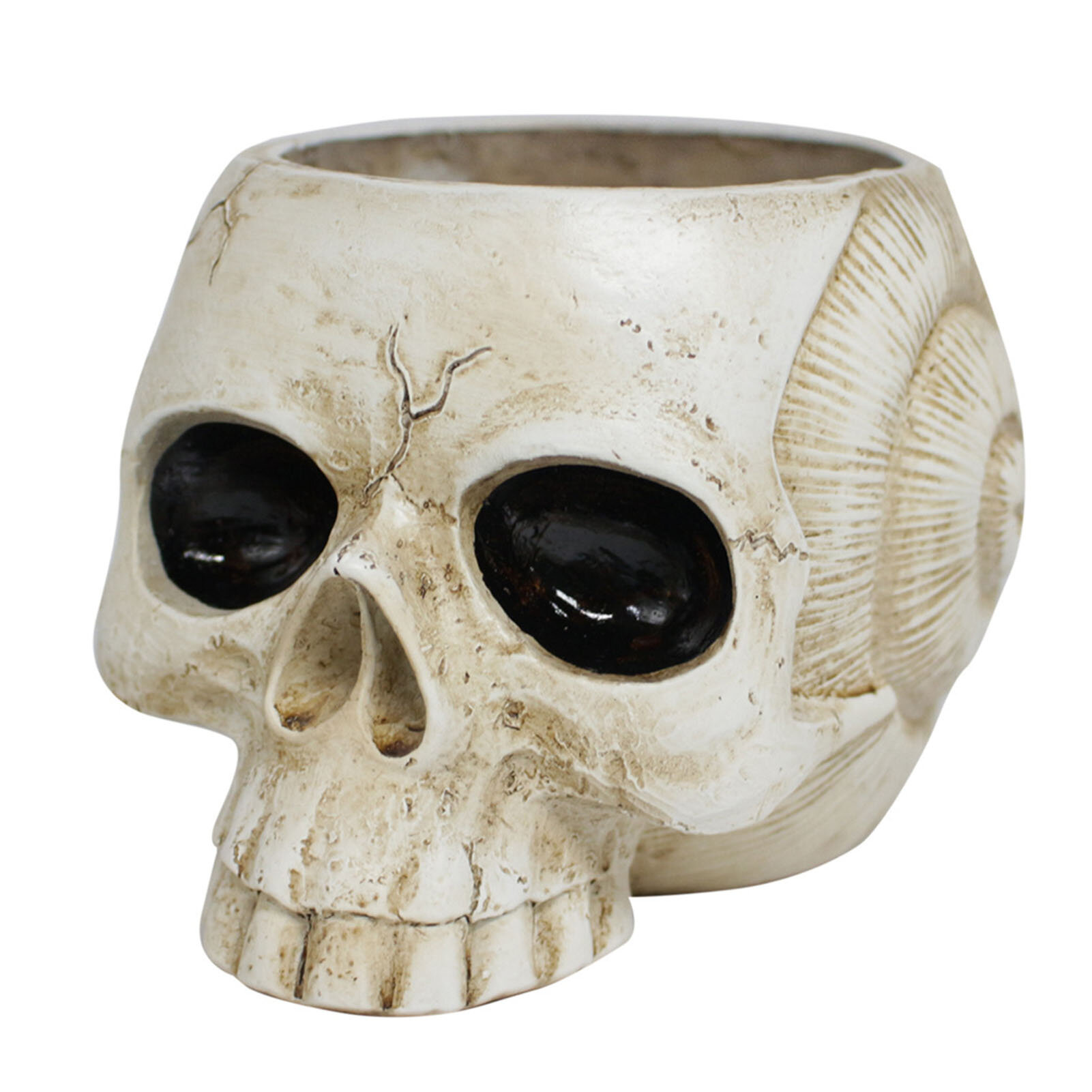 Декоративный горшок для цветов в форме черепа из смолы в готическом стиле для суккулентов, украшение для дома и офиса.