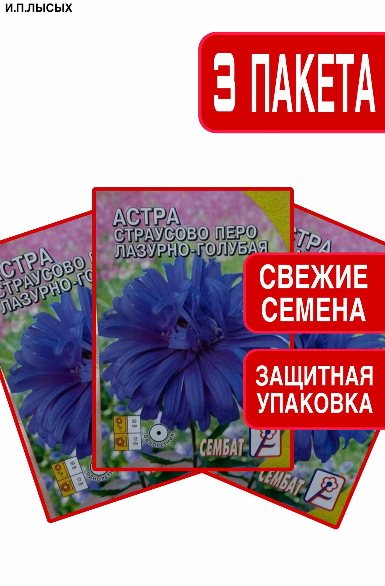 Семена Астра "Страусово перо Лазурно Голубая"
