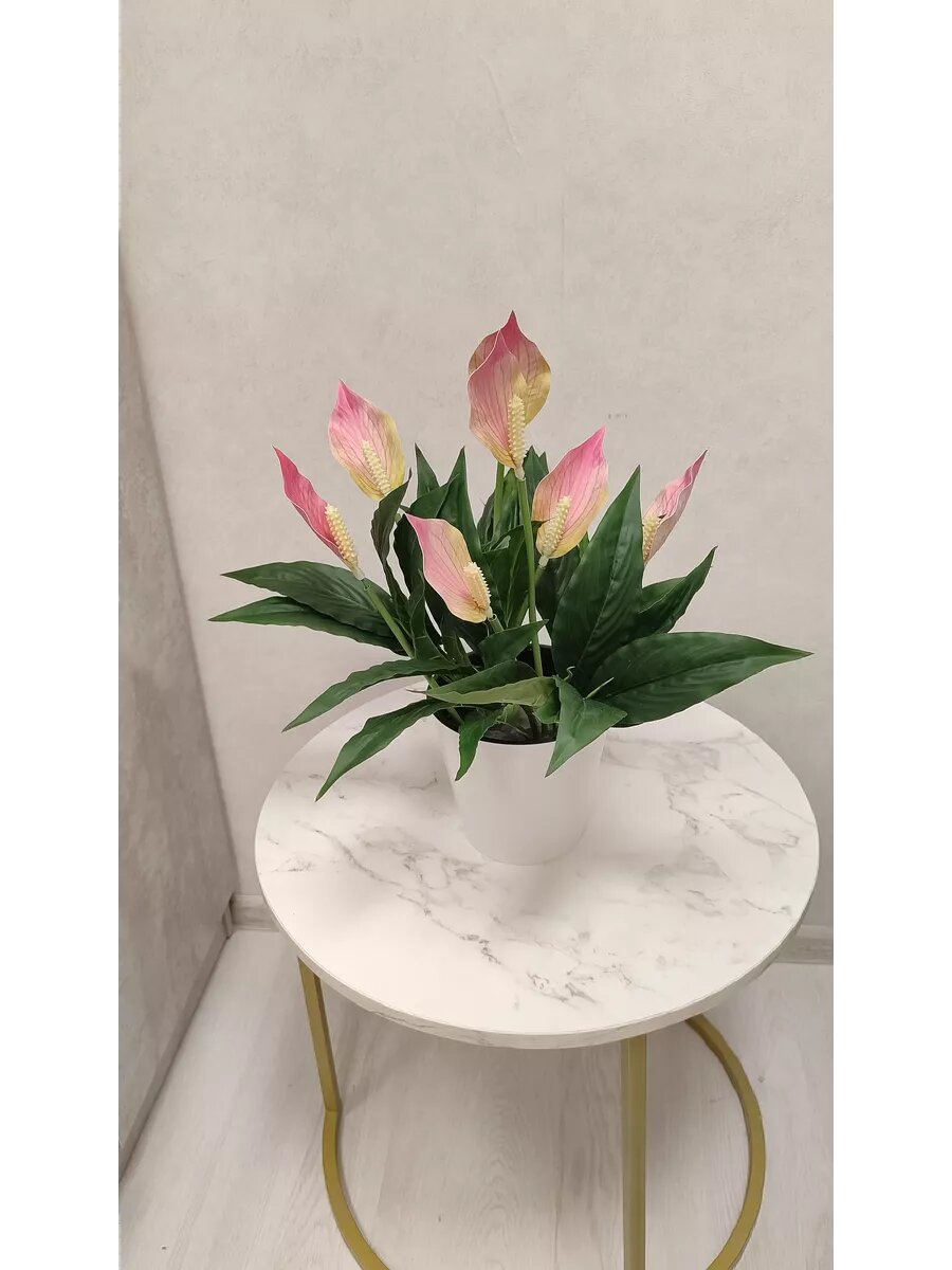 Спатифиллум искусственный в кашпо