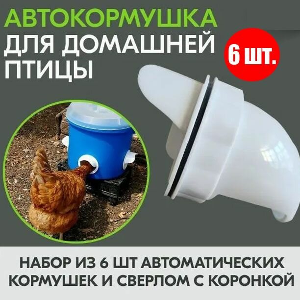 Кормушка для кур цыплят бройлеров перепелов уток гусей индеек птиц автоматическая 6 шт