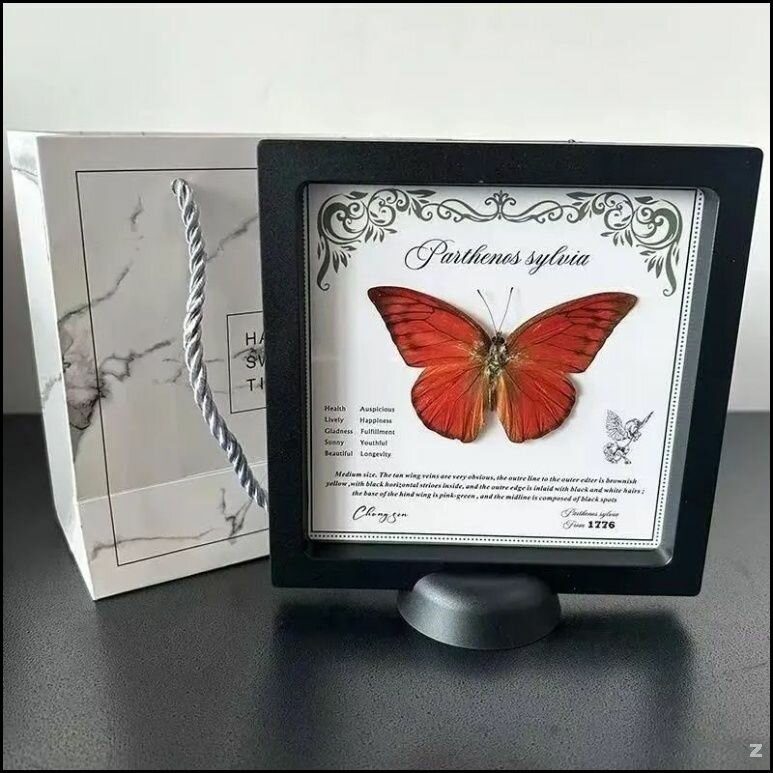 Лекалка бабочки/подарок/Чучело декоративное Настоящая бабочка в рамке