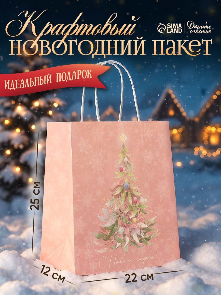 Пакет подарочный «Новогодние сны», 22 х 25 х 12 см, Новый год