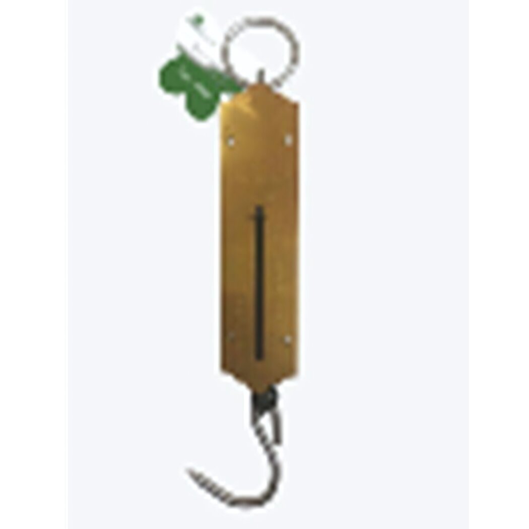 Весы-безмен 'Кантор' до 25 кг, металлические, цвет золотистый